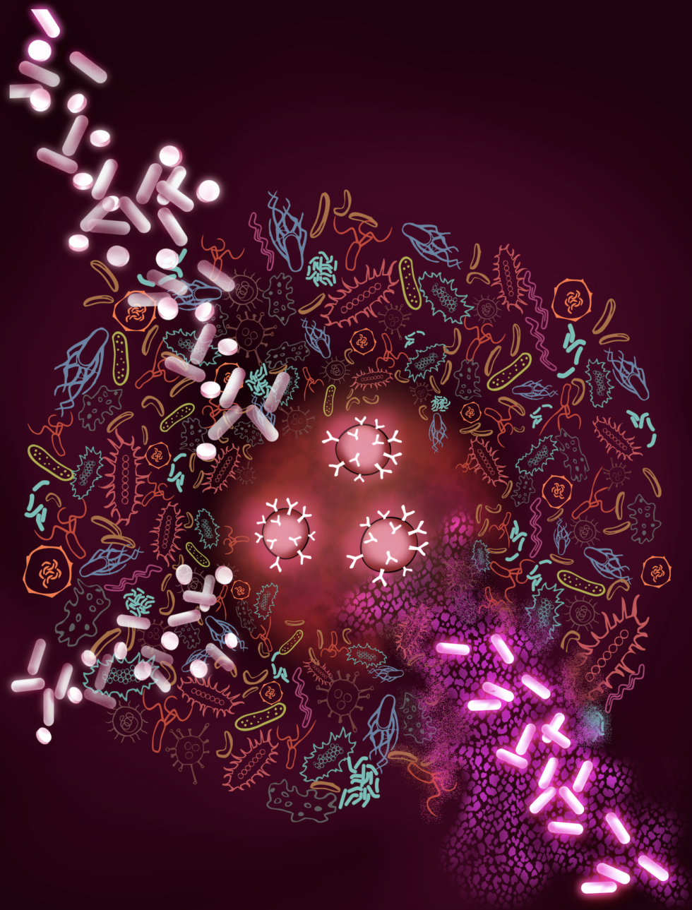 Smith Lab | Blood and Marrow Transplantation & Cellular Therapy Division